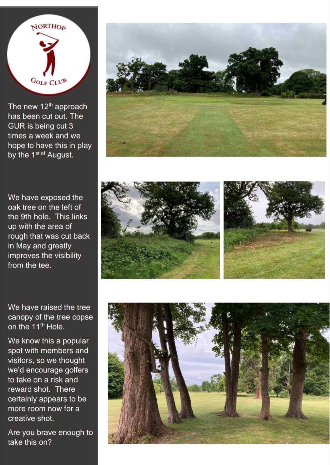 Course Newsletter - Northop Golf Club